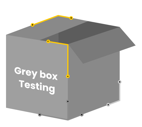 Pentest uitvoeren - Wat is een pentest?